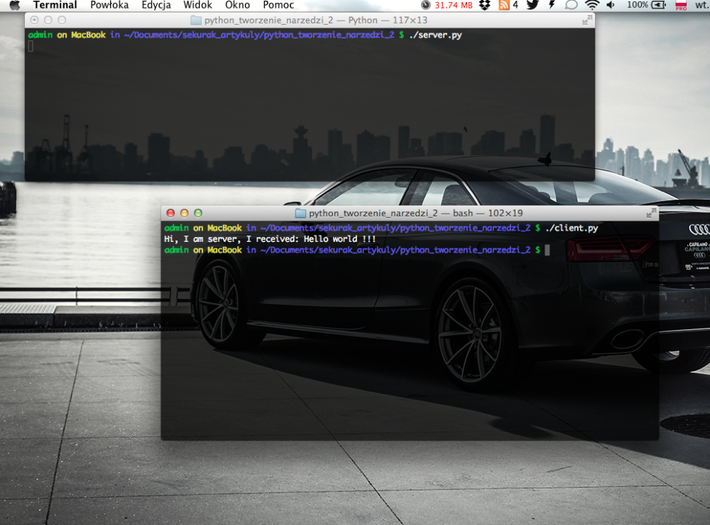 Tworzenie narzędzi sieciowych w Pythonie z użyciem socketów